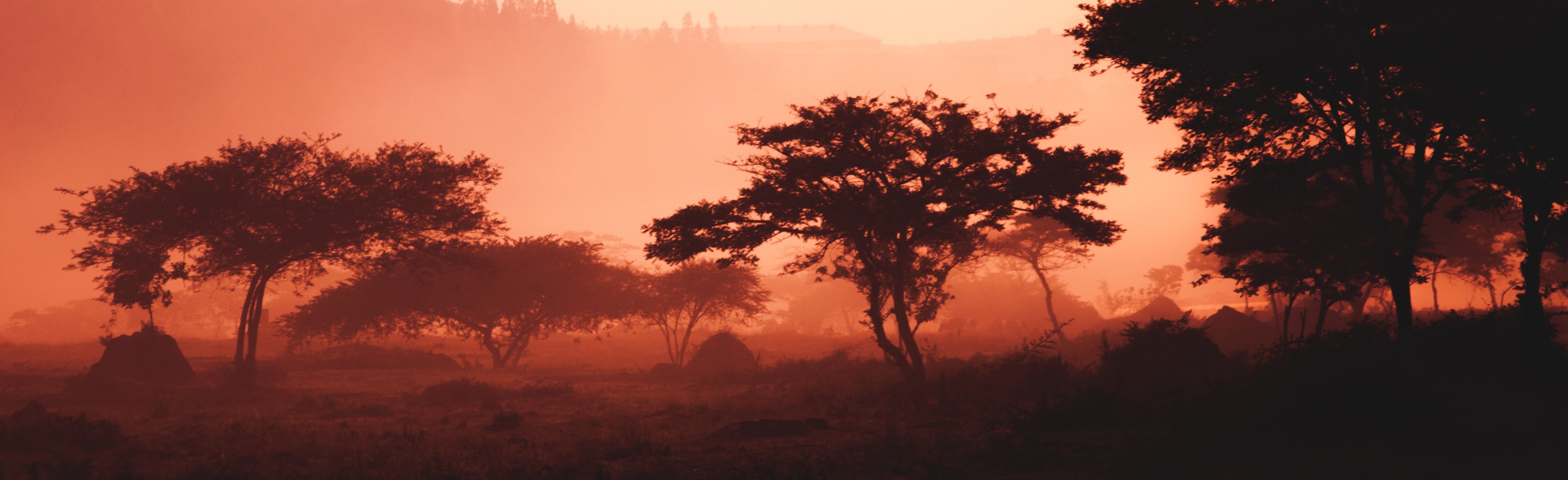 Rwanda-OKP-RWA-10001